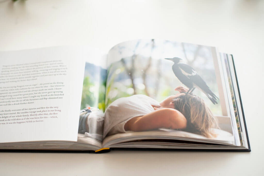 _DSC6175 | Sam Bloom